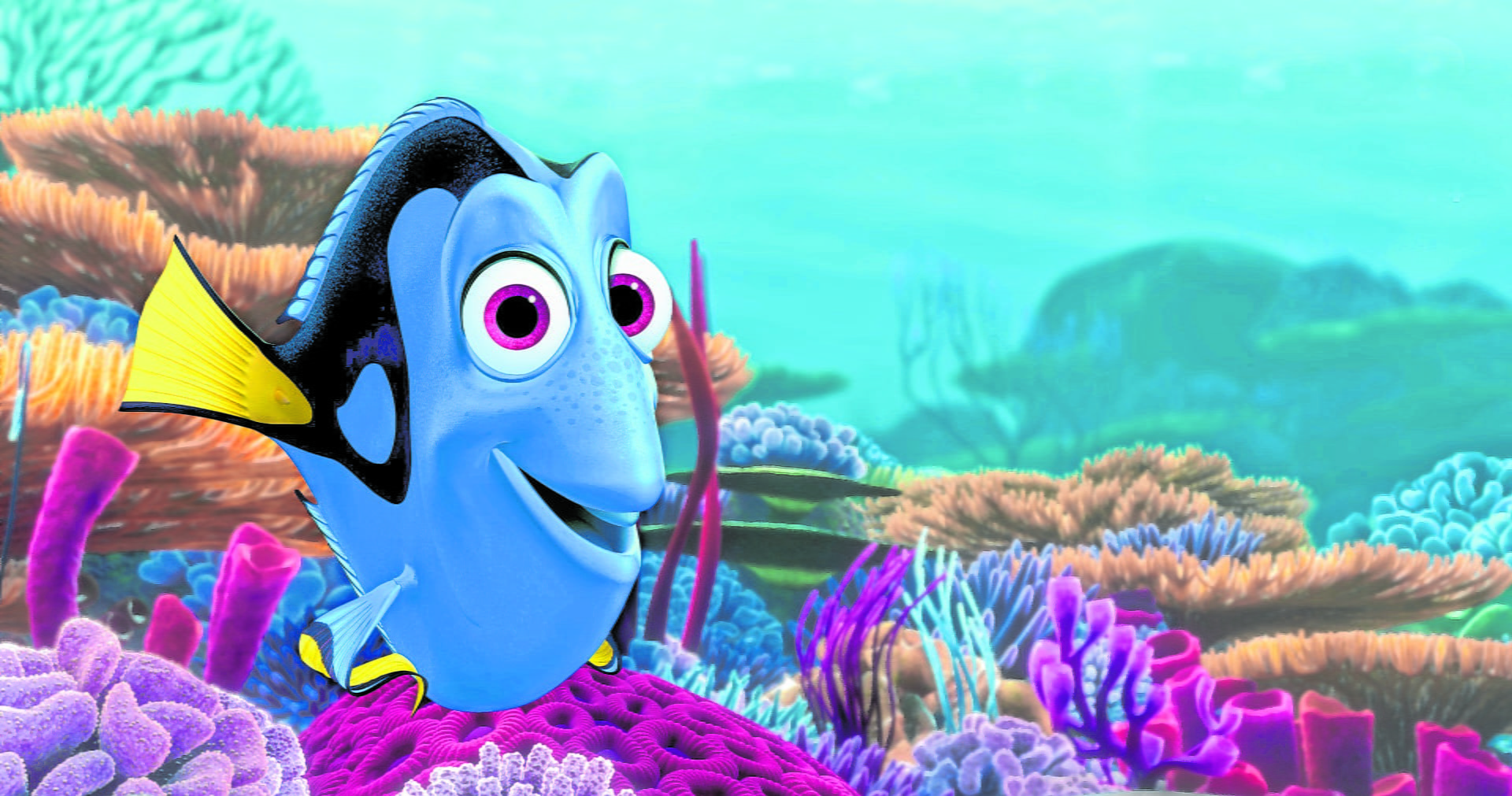 Após 13 anos de Nemo, Procurando Dory chega aos cinemas | Visão Oeste