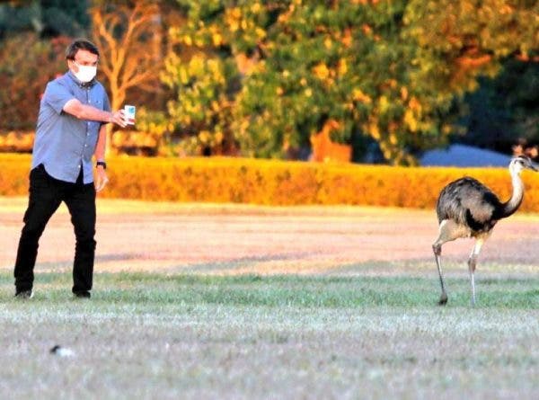 Doria cai na gargalhada com foto de Bolsonaro mostrando cloroquina a ...