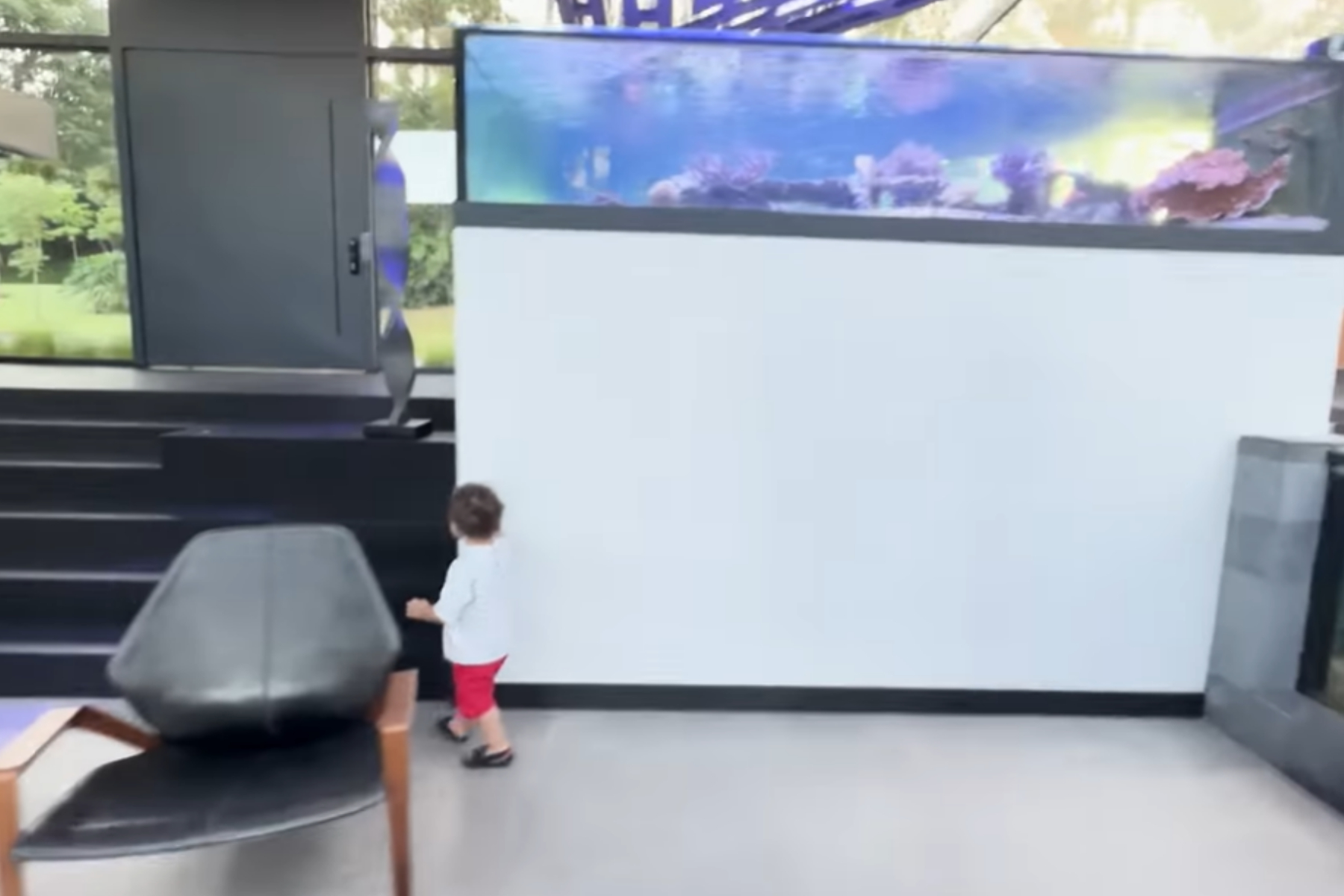 R$ 18 milhões: mansão de Boca Rosa na Granja Viana tem aquário com ...